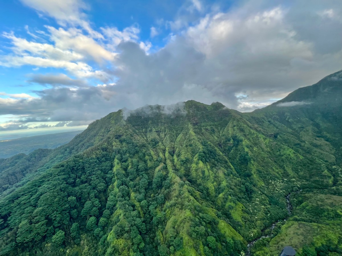 What I want to do next – Jack Reichert